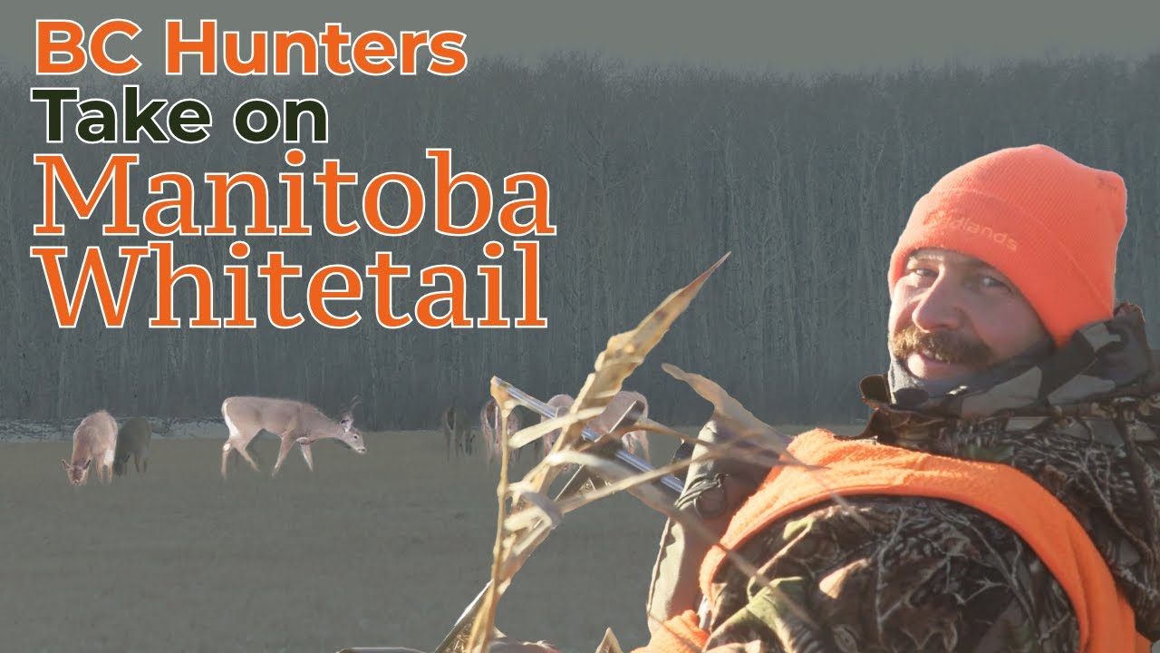Kootenays meet the Prairies | Manitoba Whitetail Deer Hunt - YouTube