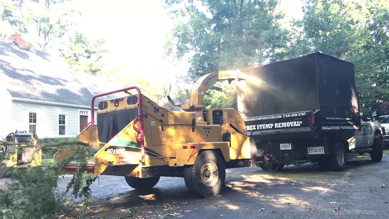 Vermeer Ctx 100 BC1500 and Biljax 55/33 working together to smash tree ...