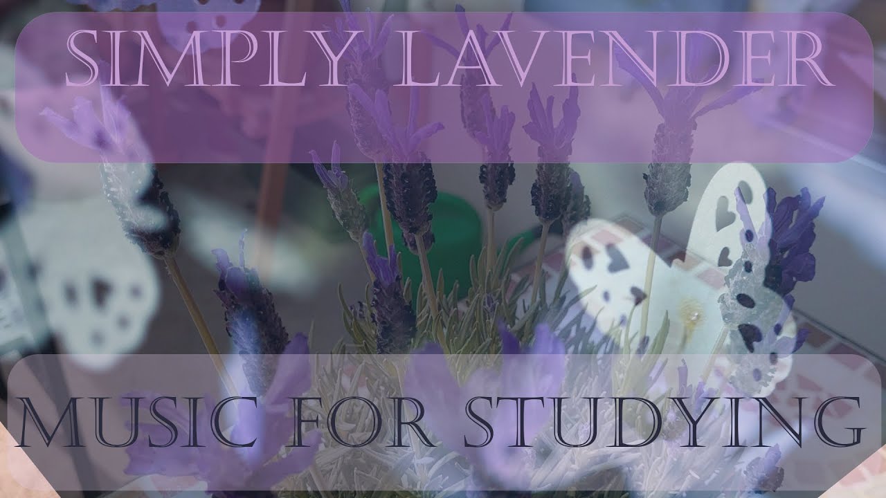 Simply lavender - music for studying - YouTube
