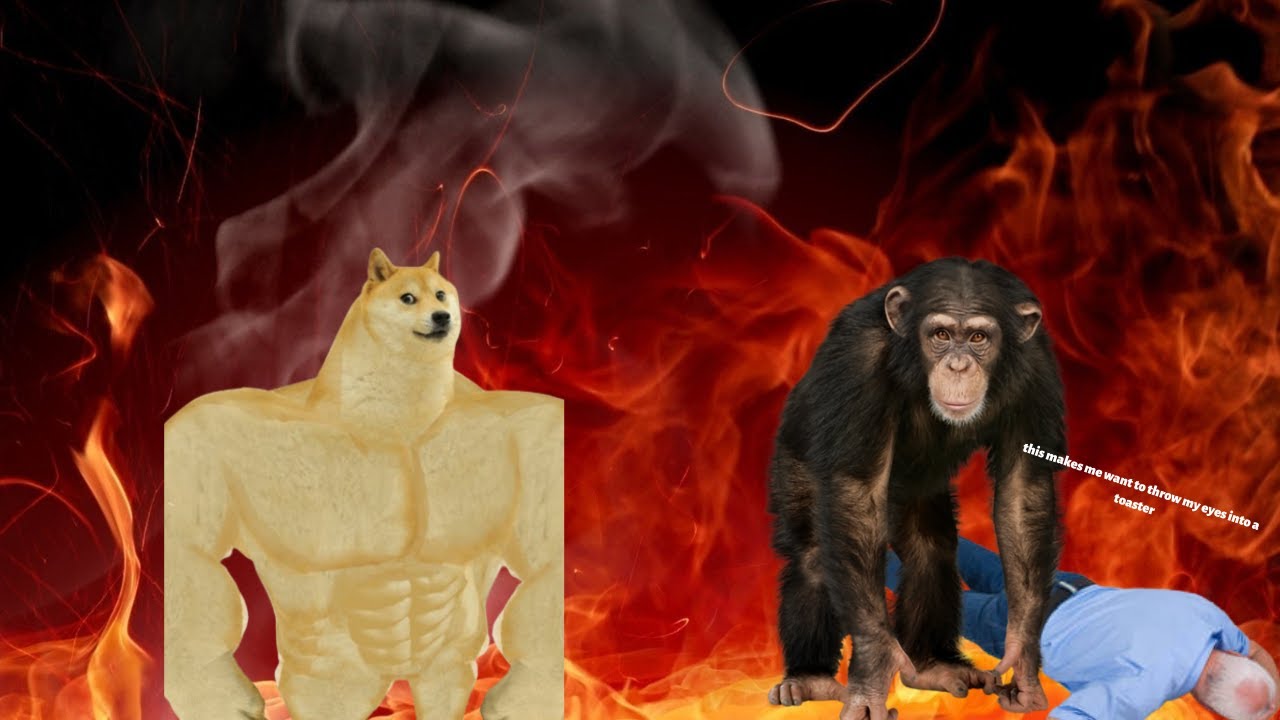 THIS GAME MAKES MY HEAD HURT... | Backrooms Buff Doge Horror - YouTube