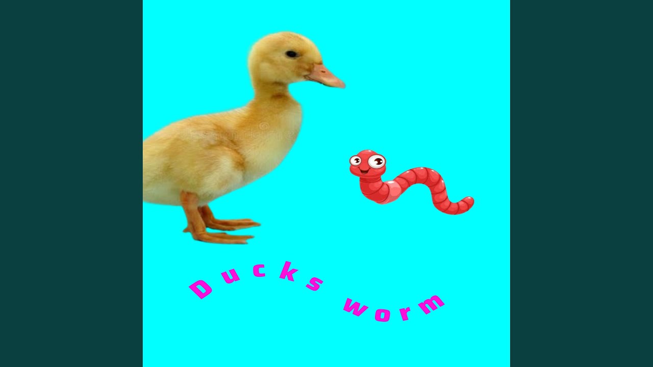 Duck Worm Fun Nursery Rhymes Songs Baby - YouTube