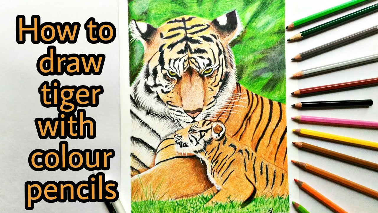 How to draw realistic tiger || tigress with cub || time lapse tutorial ...