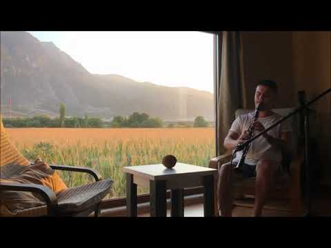 Sen Gelmez Oldun -  Klarnet Cover
