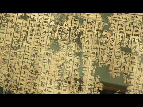 Oldest Egyptian writing on papyrus displayed for first time