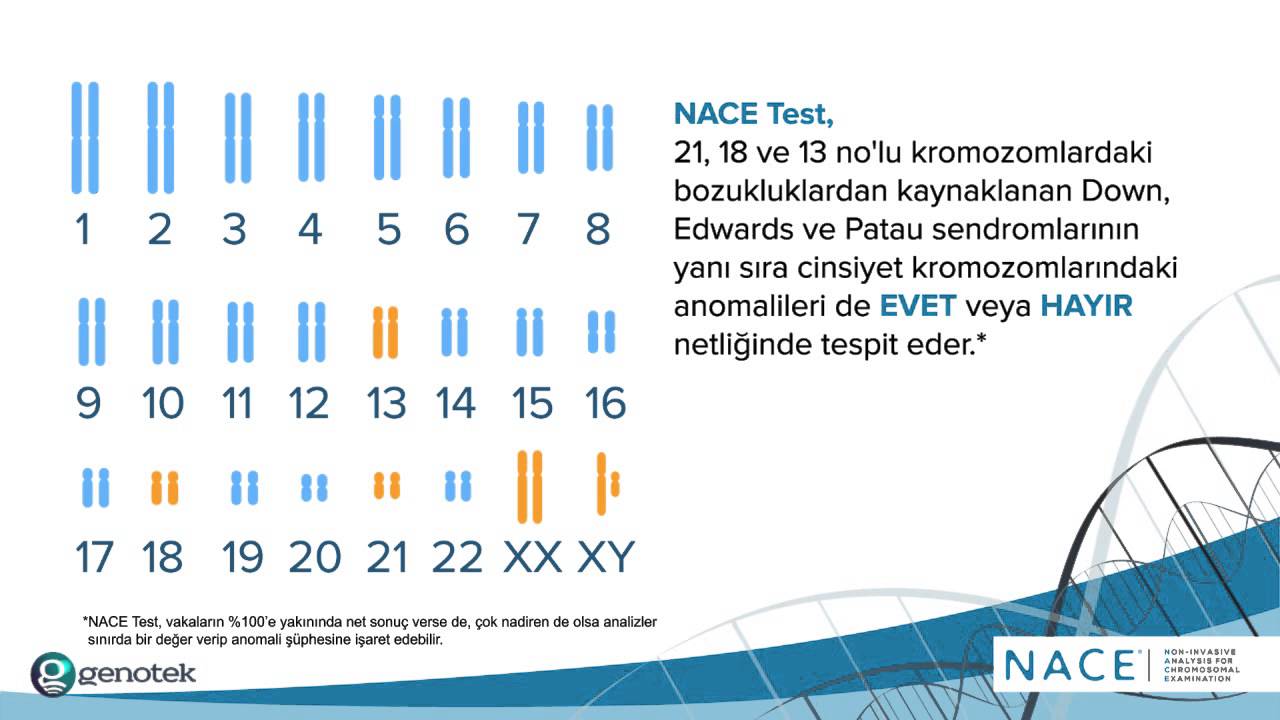 NACE Test Nedir - YouTube