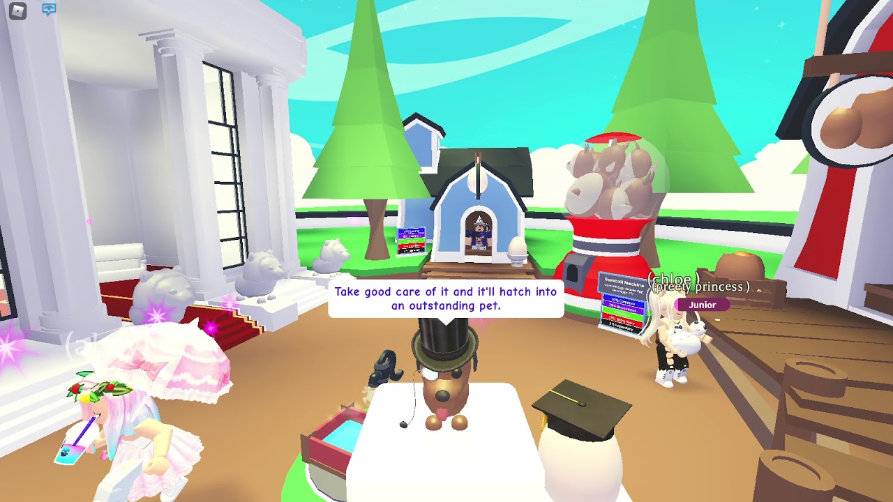 if your new! showing a tour if you new in adopt me :D - YouTube