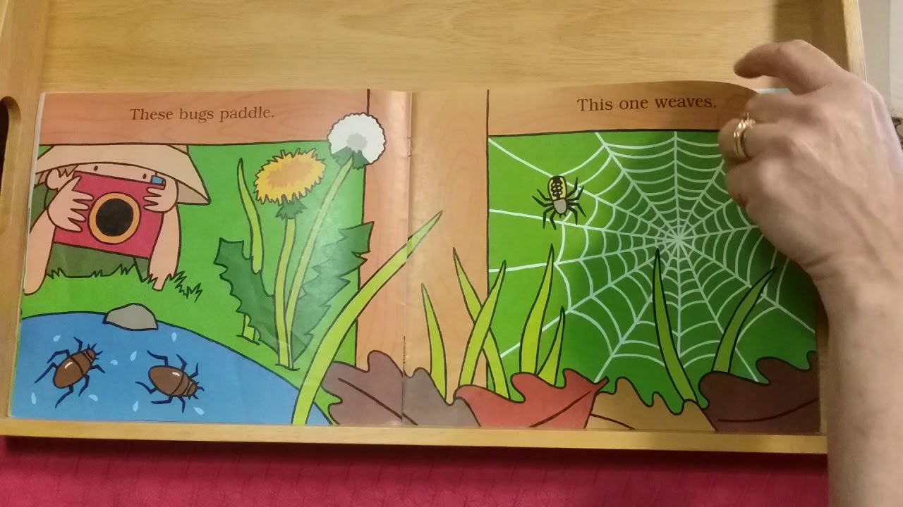 I Love Bugs! - YouTube