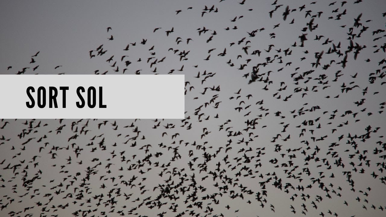 sort sol - YouTube