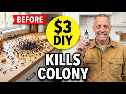 Will Ant Killer Spray Kill Wasps