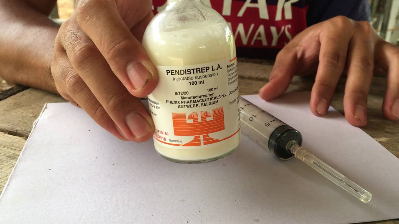 แนะนำยา Pendistrep L.A. ใช้กับ วัว ควาย - YouTube