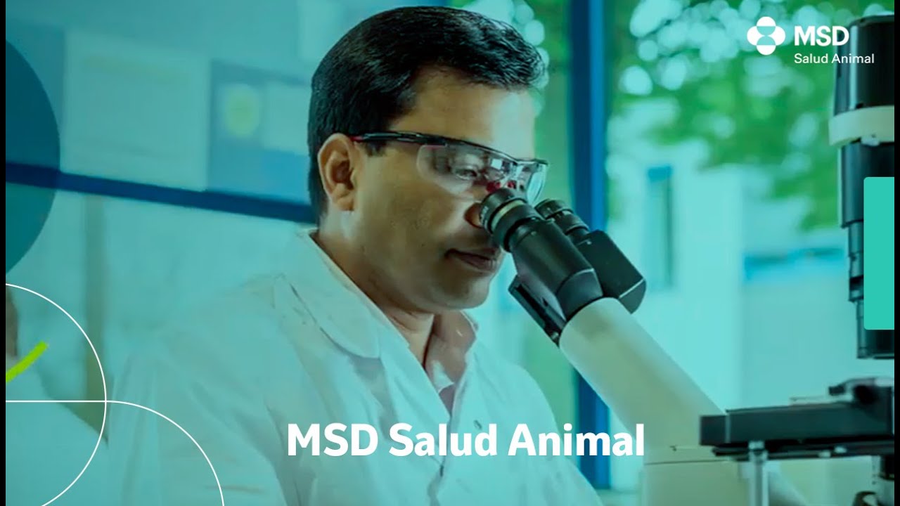 MSD Salud Animal - YouTube
