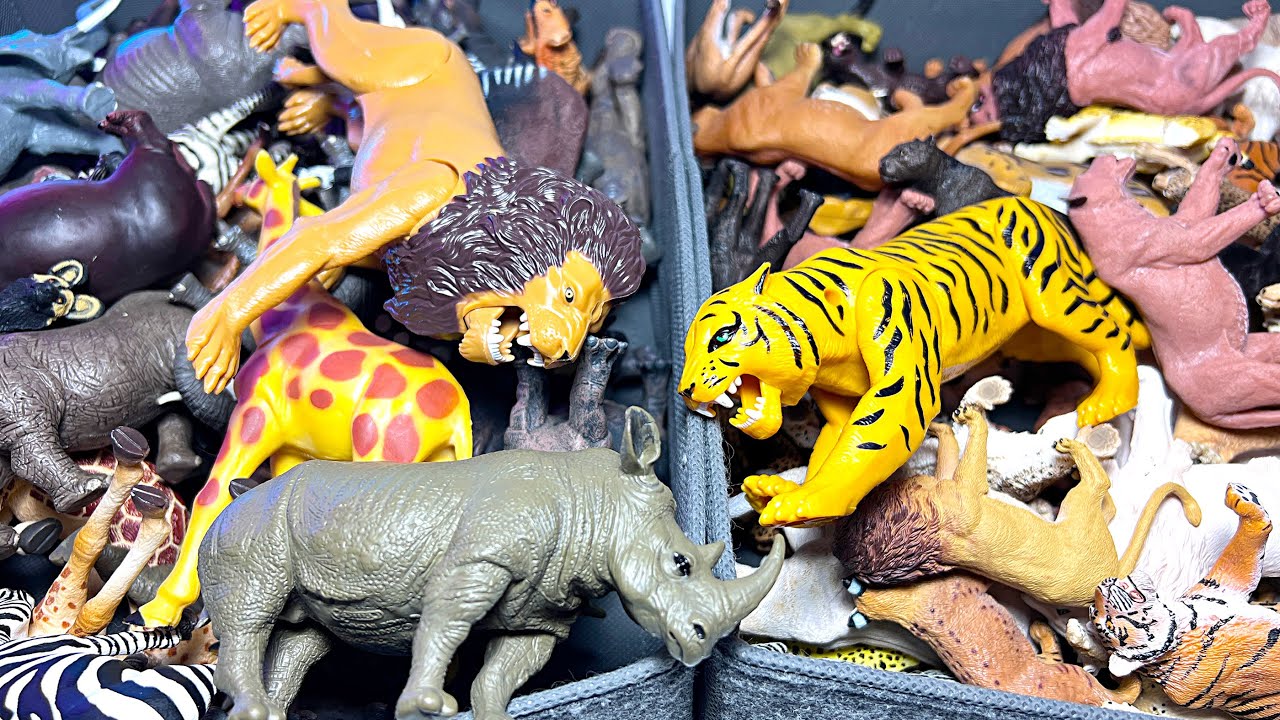 African Animals & Wild Cats - Elephant, Rhino, Hippo, Lion, Cheetah ...