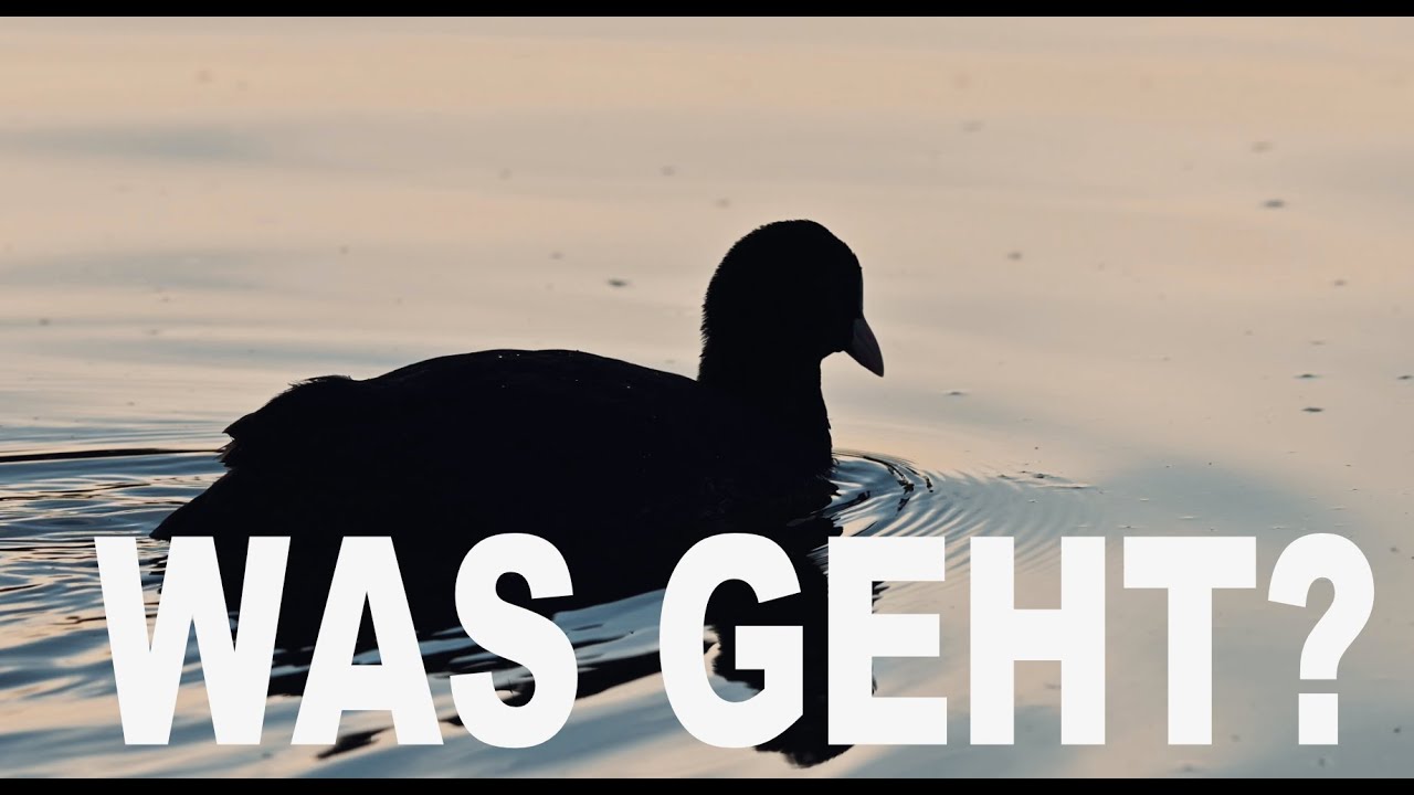 Schwablphotographics/ Was geht? - YouTube