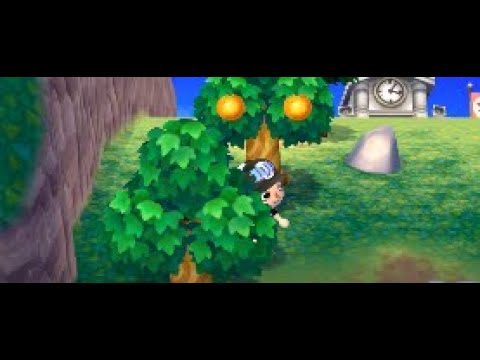 Animal Crossing New Leaf Episode 6 - bug catching - YouTube