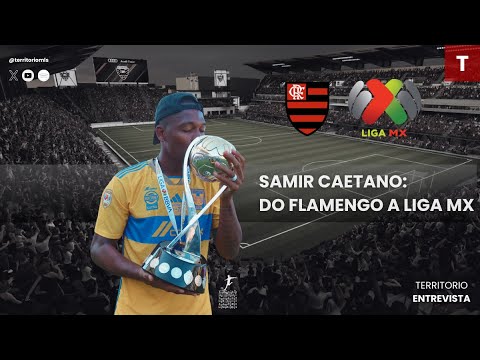 Samir: Do Flamengo à Premier League e ao Oriente Médio — Reflexões ...