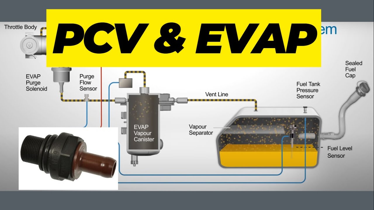 PCV & EVAP - YouTube