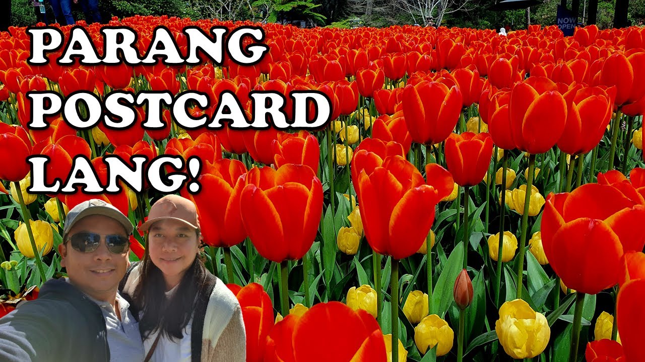 ARALUEN BOTANIC GARDEN TULIPS FESTIVAL 2024 | PERTH PINOY VLOGGER ...