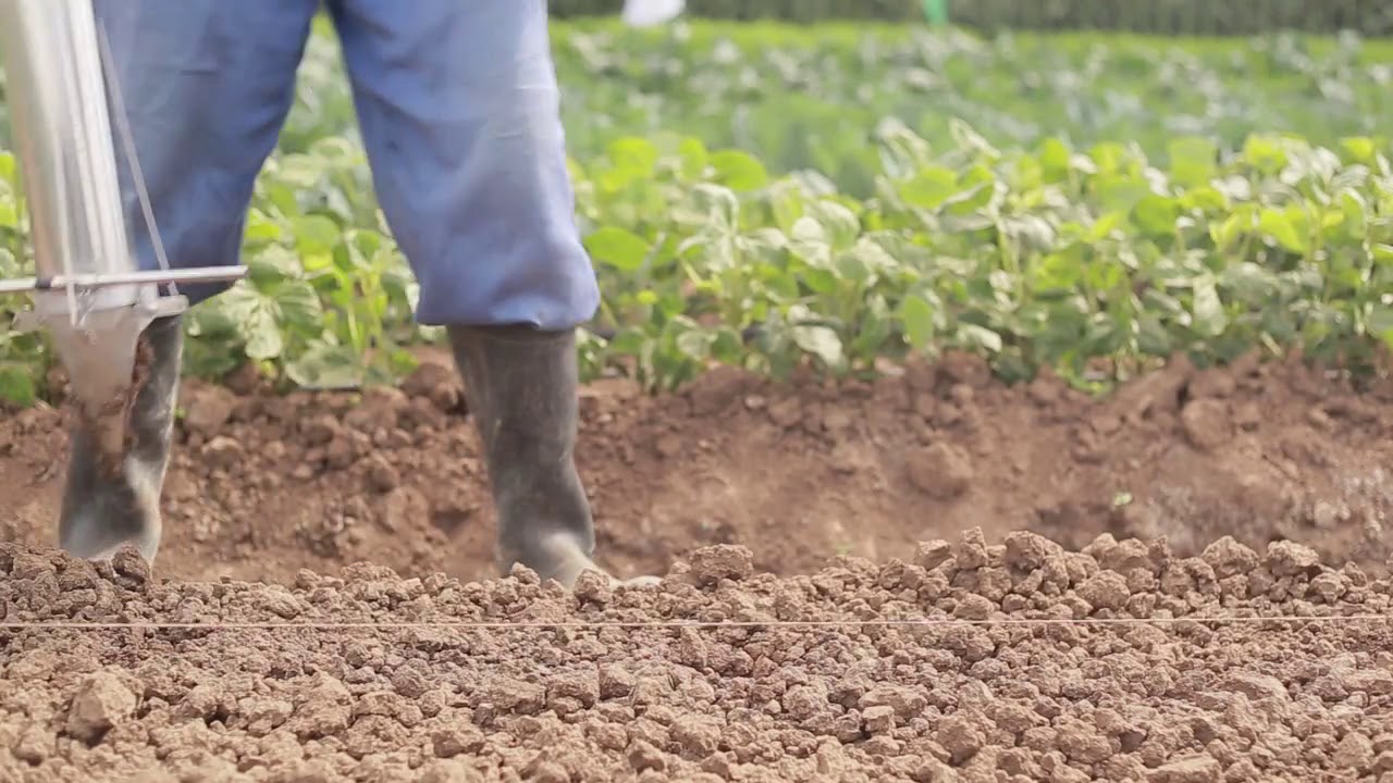 Manual Seedling Transplanter - YouTube