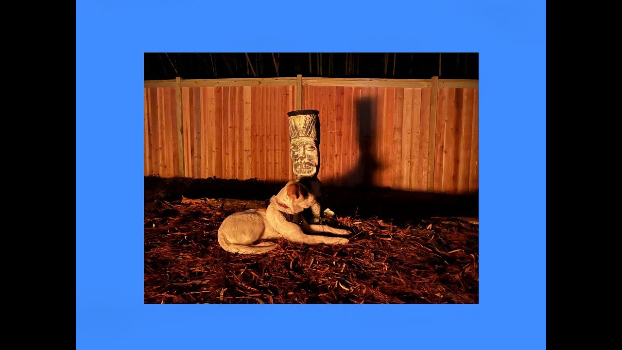 Podcast No. 4 "Do The Secret Monkey" Podcast - Secret Monkey Weekend ...