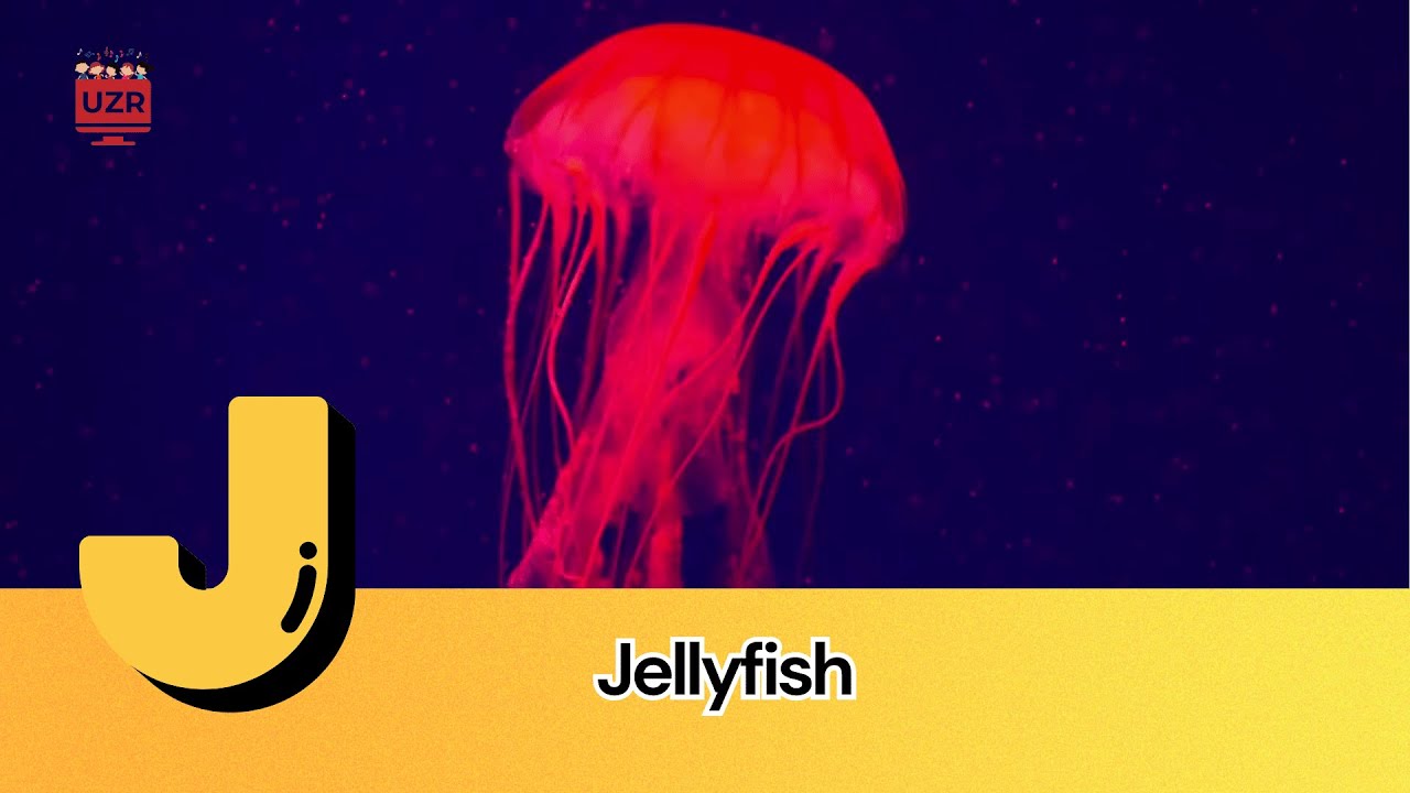 🎶 ABCs of the Deep Blue Sea | Fun Ocean Animal Song! 🐋🐡| UZR Nursery ...