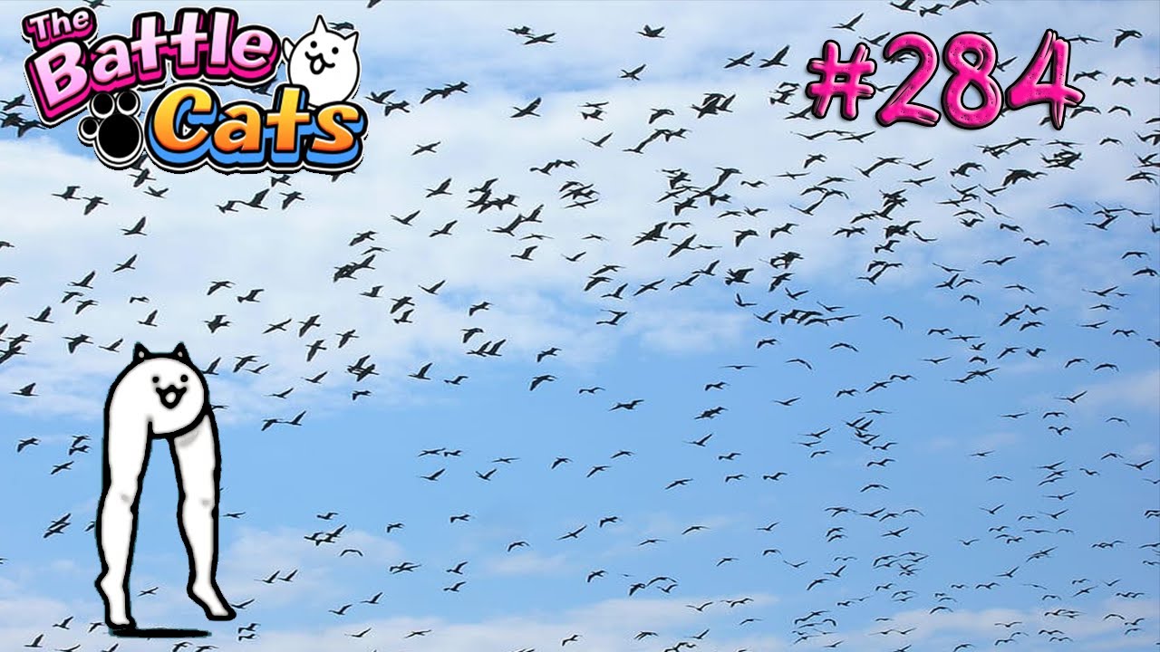 Minigato Muslamen Li'l Sexy Legs Cat Comanda De Picoteo Gameplay ...