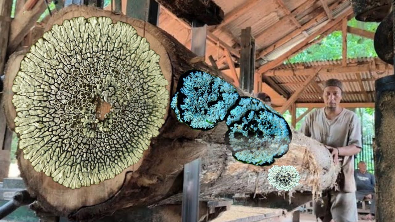 Utilizing abandoned waste wood to create a work of art turns out to ...