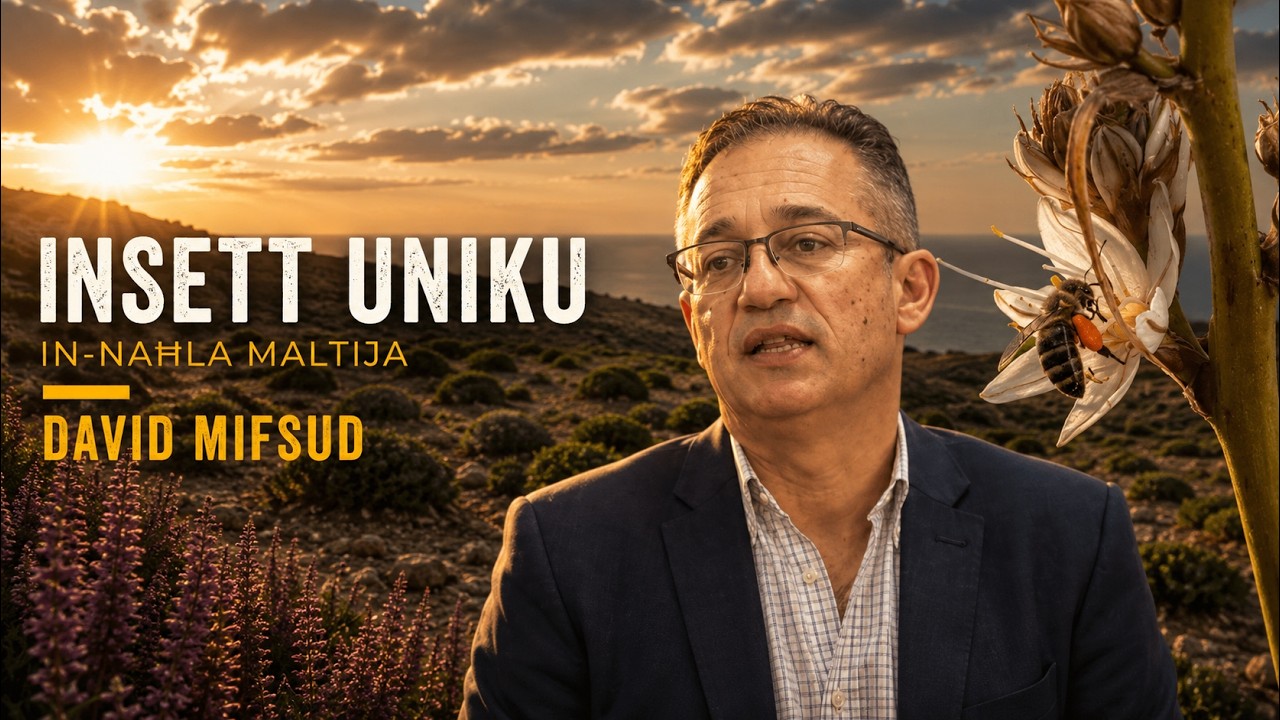 Insett Uniku: In-Naħla Maltija | Intervista ma' Prof. David Mifsud ...
