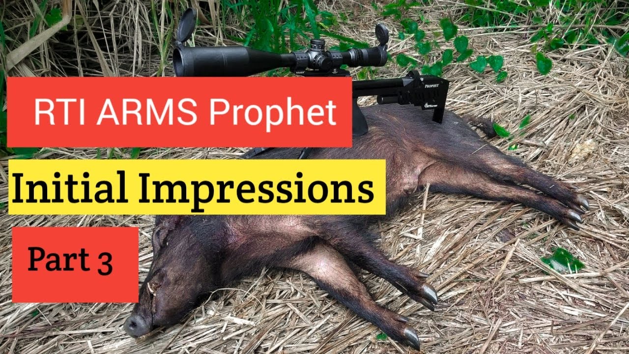 RTI ARMS PROPHET Initial Impressions Part 3 - YouTube