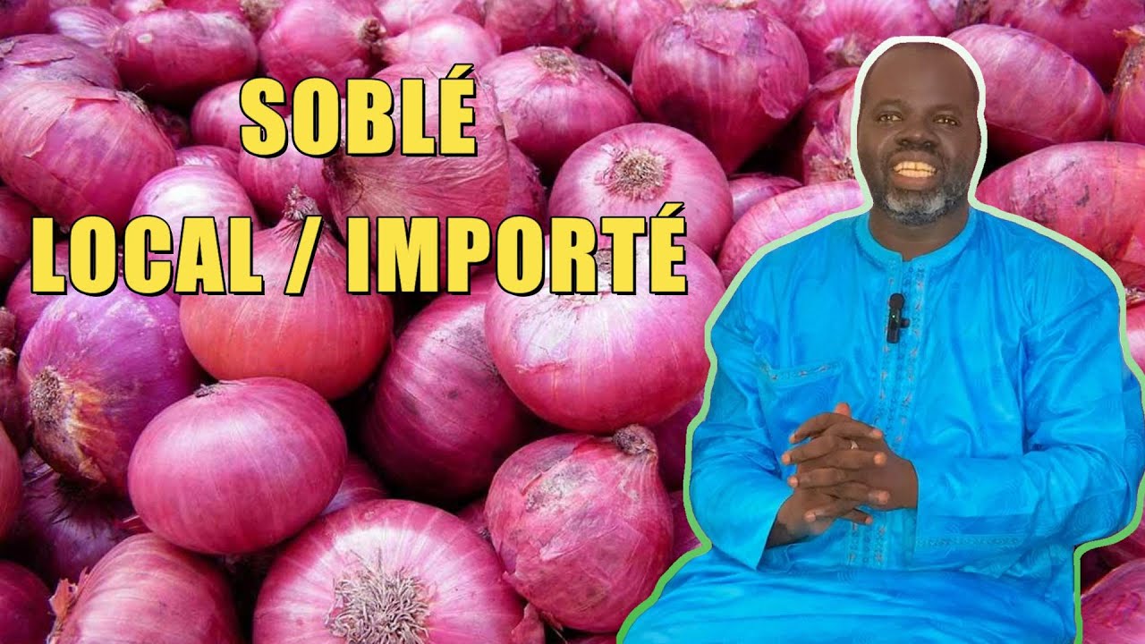 Hausse du Prix de l'OIGNON au Sénégal, Soblé local wala Importé - YouTube