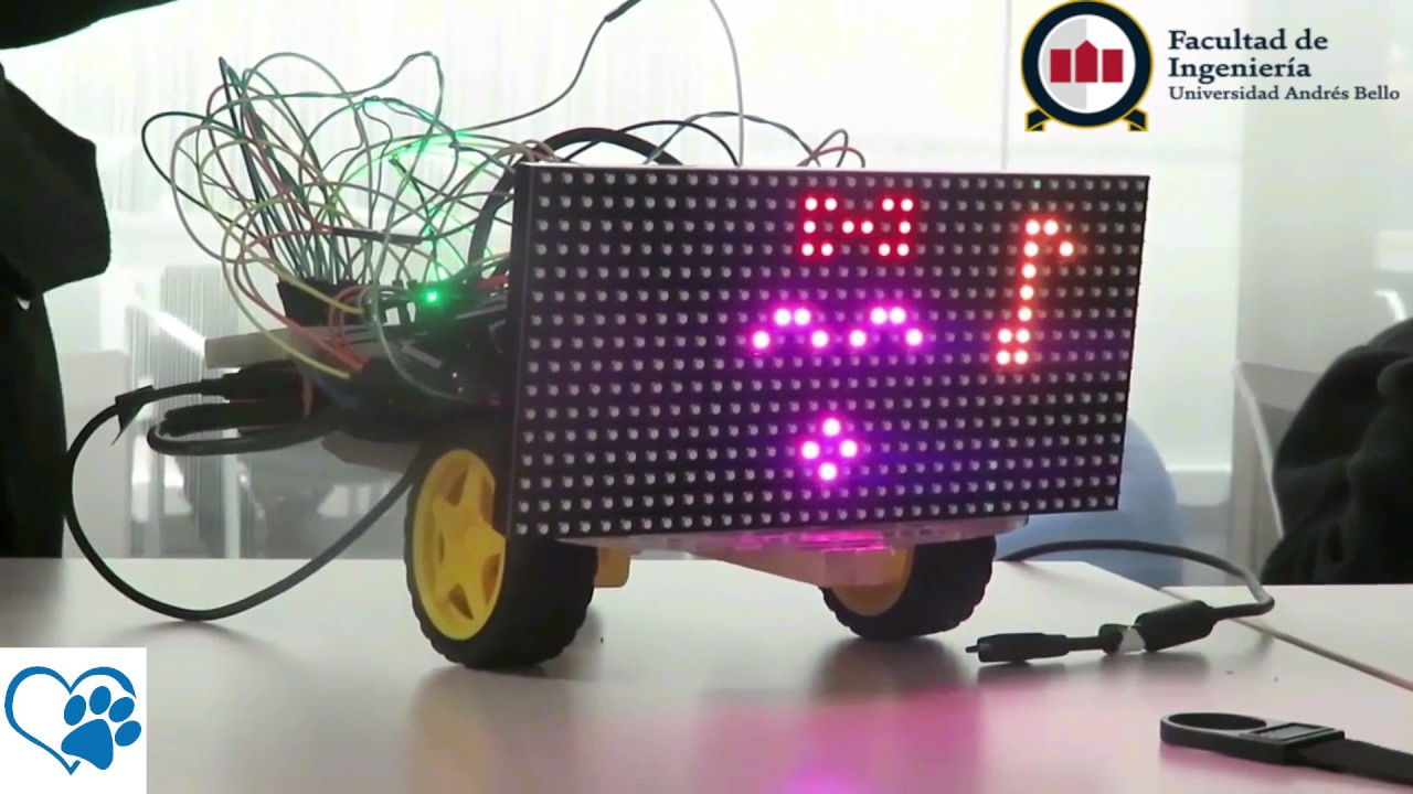 Proyecto De Programación " MASCOTA " - YouTube