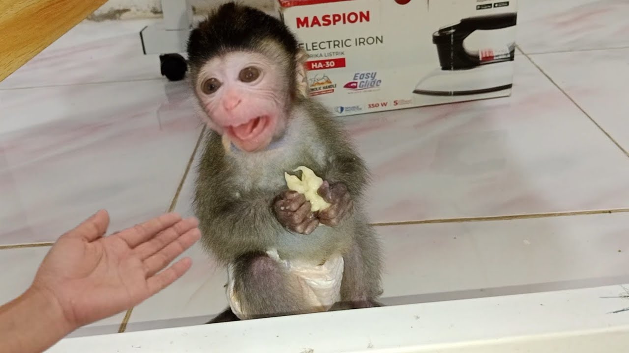 mom ask baby Dan to share.. - YouTube