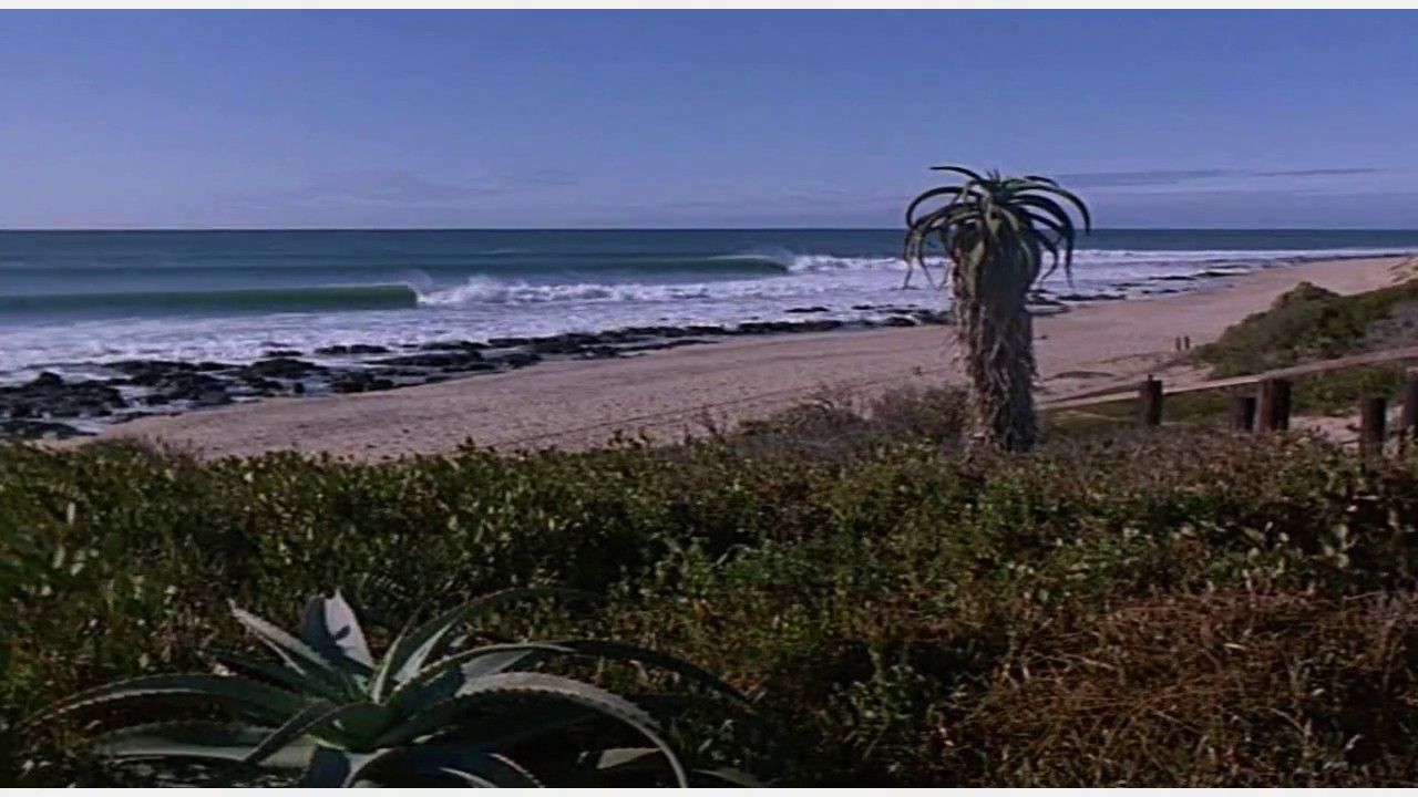 Robin Ward ~ Wonderful Summer (Stereo) - YouTube