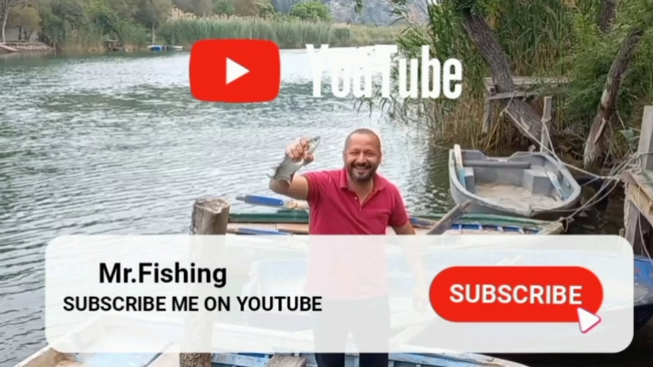 Ekmek ile Kefal balığı avı Göl kamışı ile balık avı mullet fish - YouTube