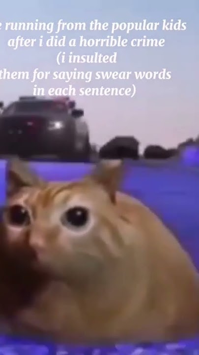 the cats name is gwa gwa btw #memes #fypシ #viral #fyp - YouTube