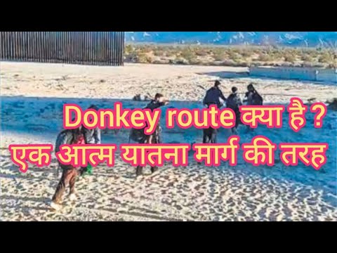Donkey route ? lets explain about life risk route - YouTube