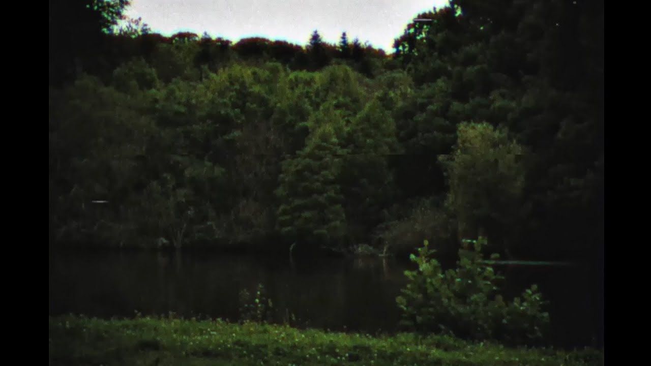 Creepy Forest Ambiance VHS - YouTube