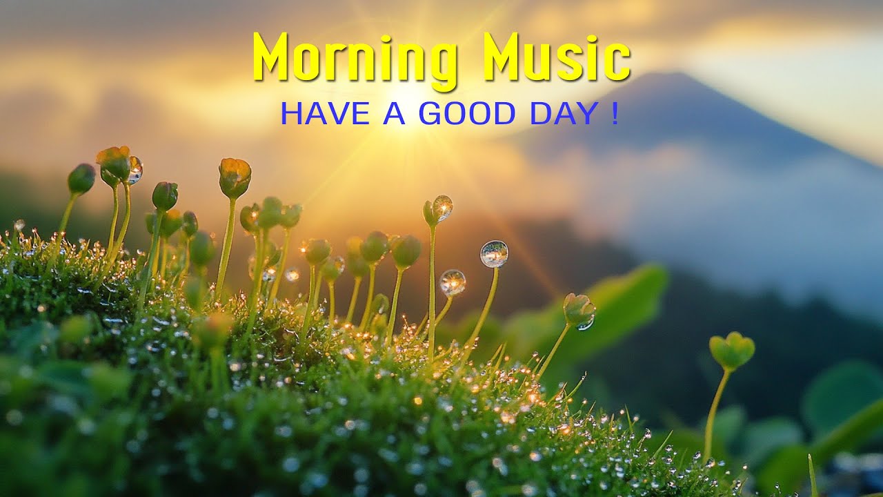 BEAUTIFUL MORNING MUSIC - Wake Up Feeling Refreshed And Inspired ...