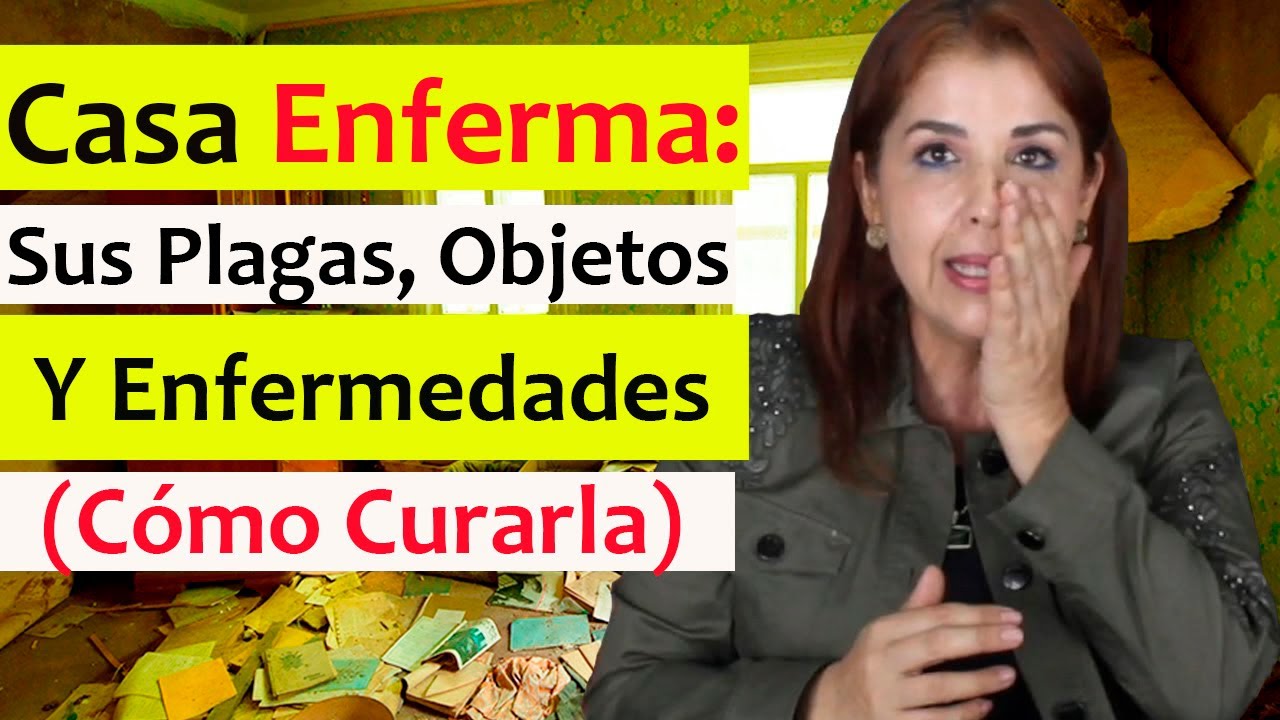 🤒 ESTAS son las ENFERMEDADES, PLAGAS y OBJETOS de una CASA ENFERMA ...