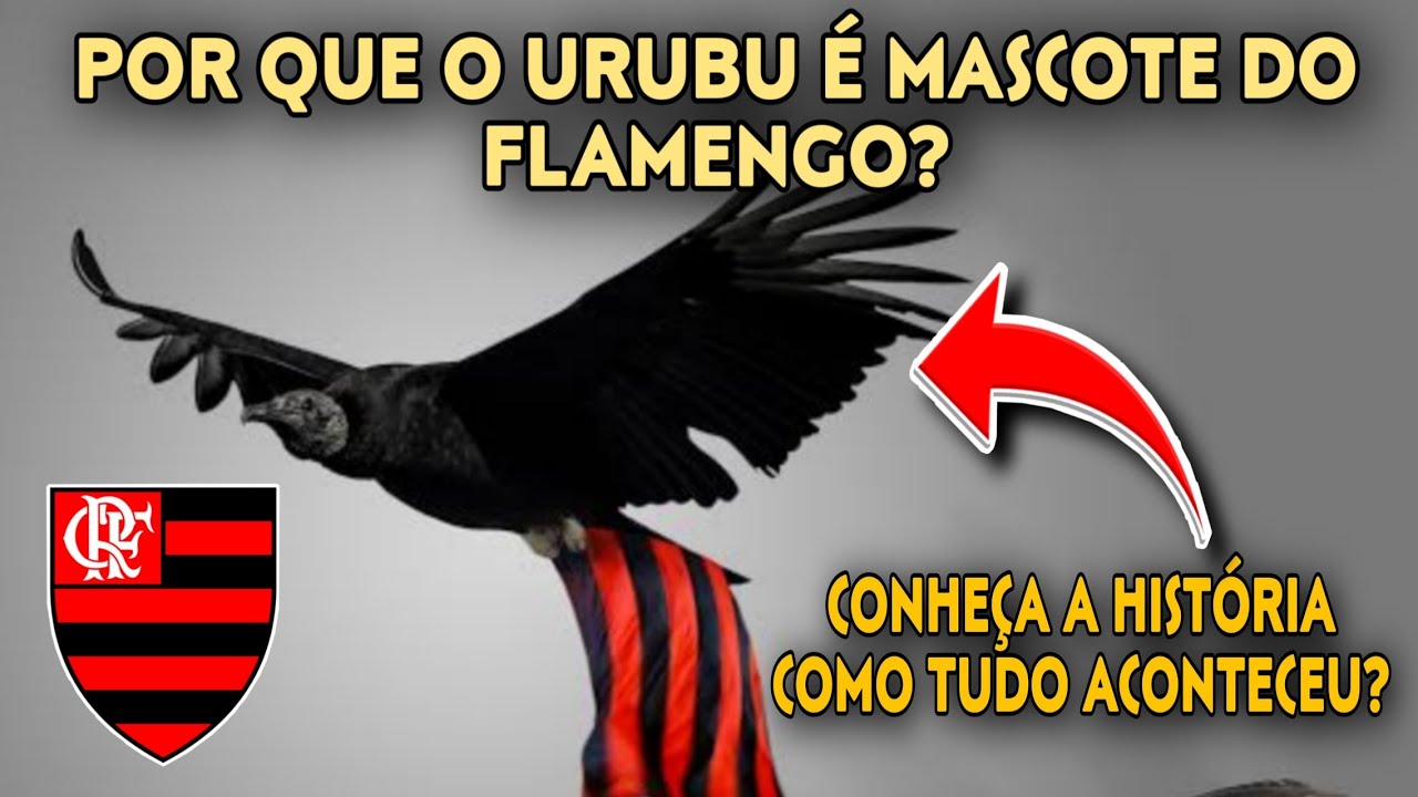 VOCÊ SABIA? POR QUE O URUBU É MASCOTE DO FLAMENGO? OLHA QUE HISTÓRIA ...