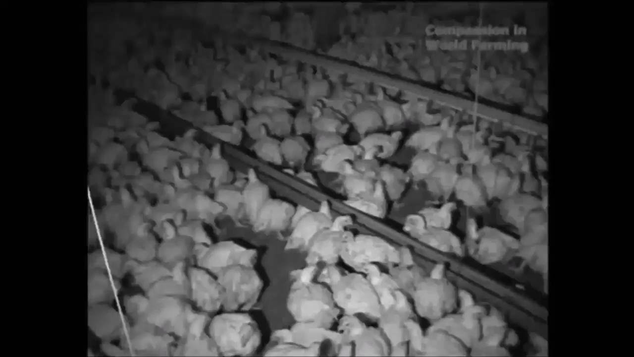 marjory stewart-baxter // sight - YouTube