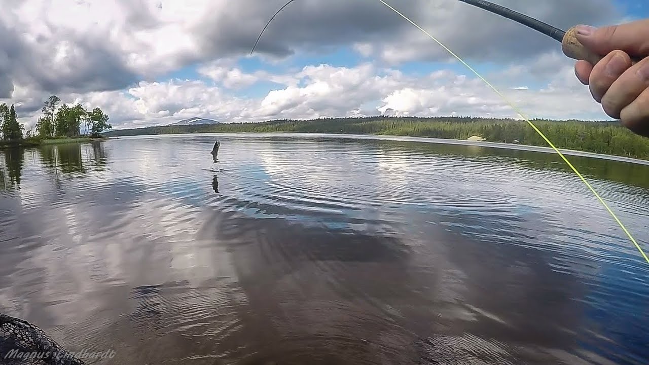 Trout Fishing at Anariset Ajvin Sijte - YouTube