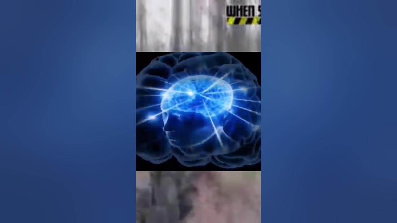 Never Had To Cut Me Up Meme YouTube never-had-to-cut-me-up-meme-youtube