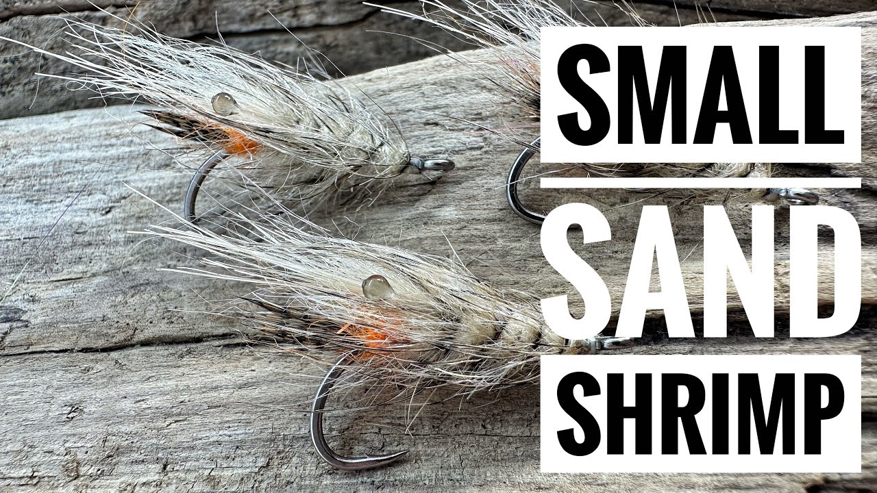 SMALL SAND SHRIMP -lifelike and transparent sea trout snack 🔥🎣💯 - YouTube