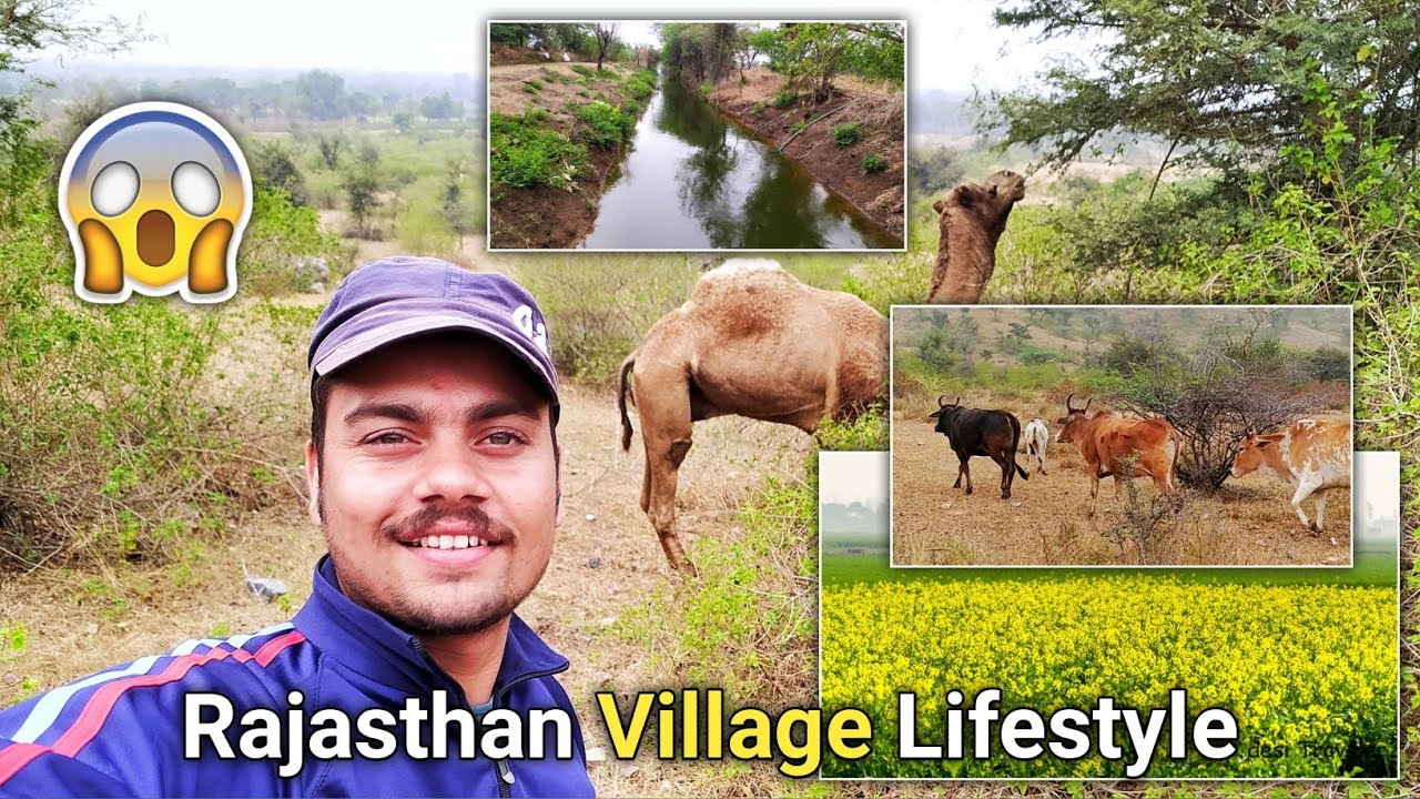 Rajasthan Village Lifestyle Vlog || राजस्थान में ग्रामीण जीवन ...