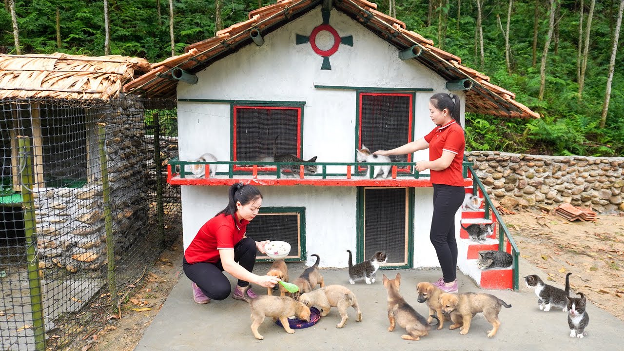Finished Building Bricks House For Dogs and Cats, Build Beautiful House ...
