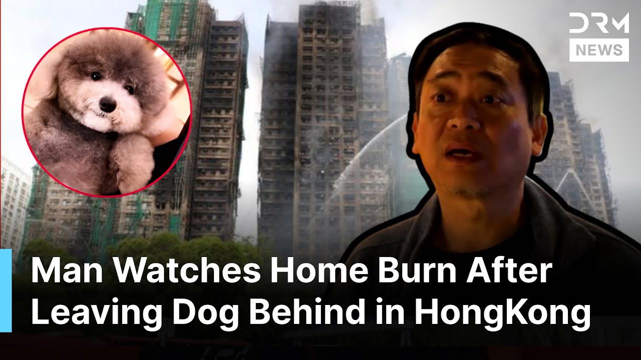 EMOTIONAL SCENE: Hong Kong Resident Breaks Down After Leaving Dog ...