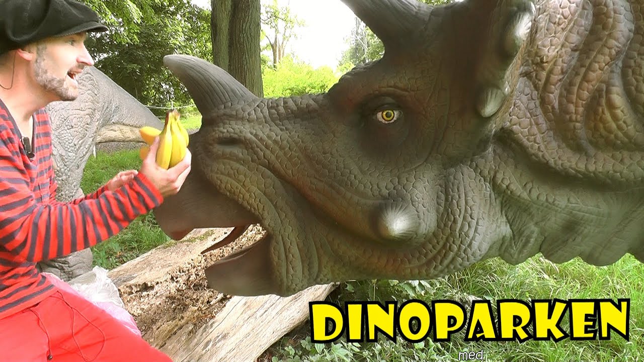 TRICERATOPS | DINOPARKEN med Pappa Kapsyl - kul fakta om dinosaurier ...
