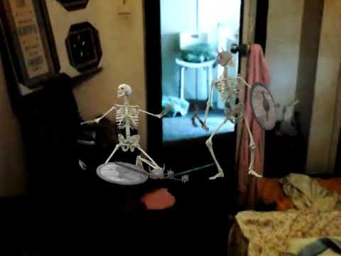 FxGuru Skeleton Worriers Video - YouTube