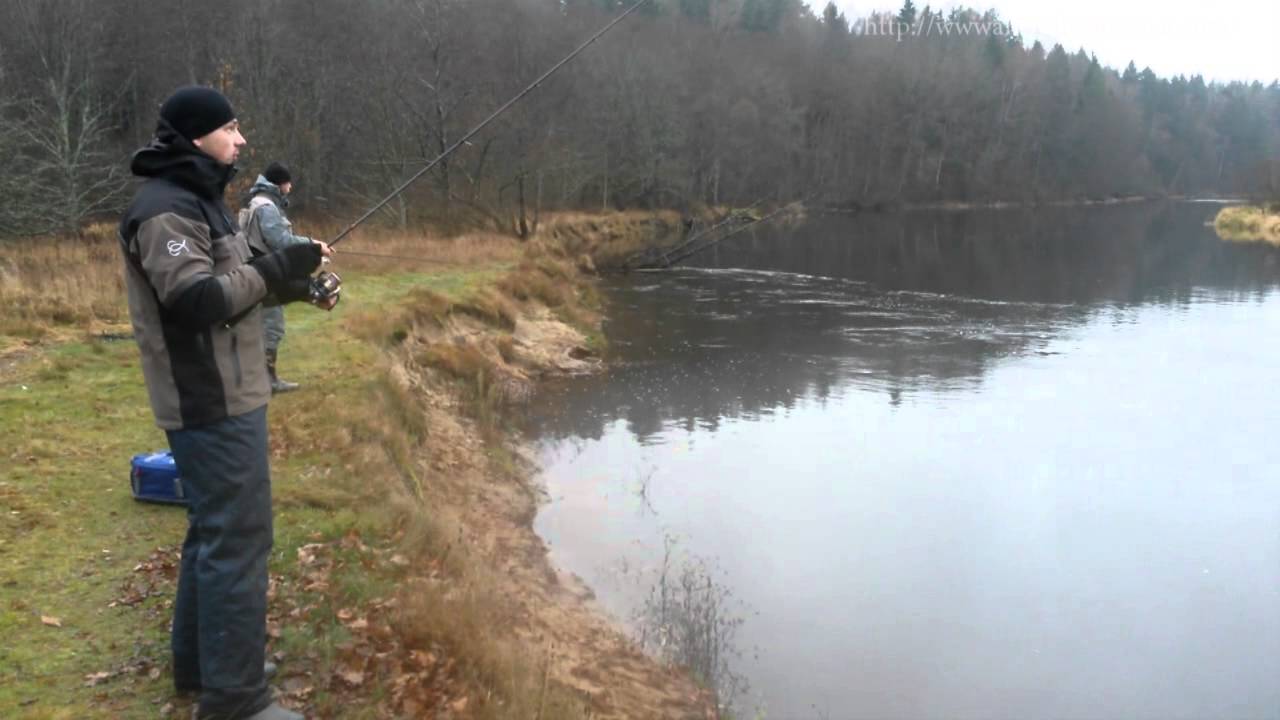 Ноябрьское (Belarus.Fishing) - YouTube