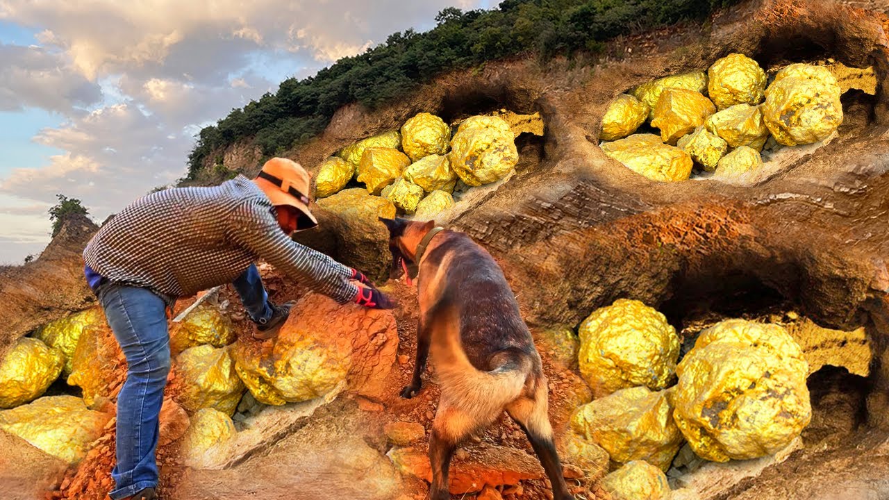 (TOP5) Smart Dog Detector Treasures Giant Gold 100kg - Treasures Found ...